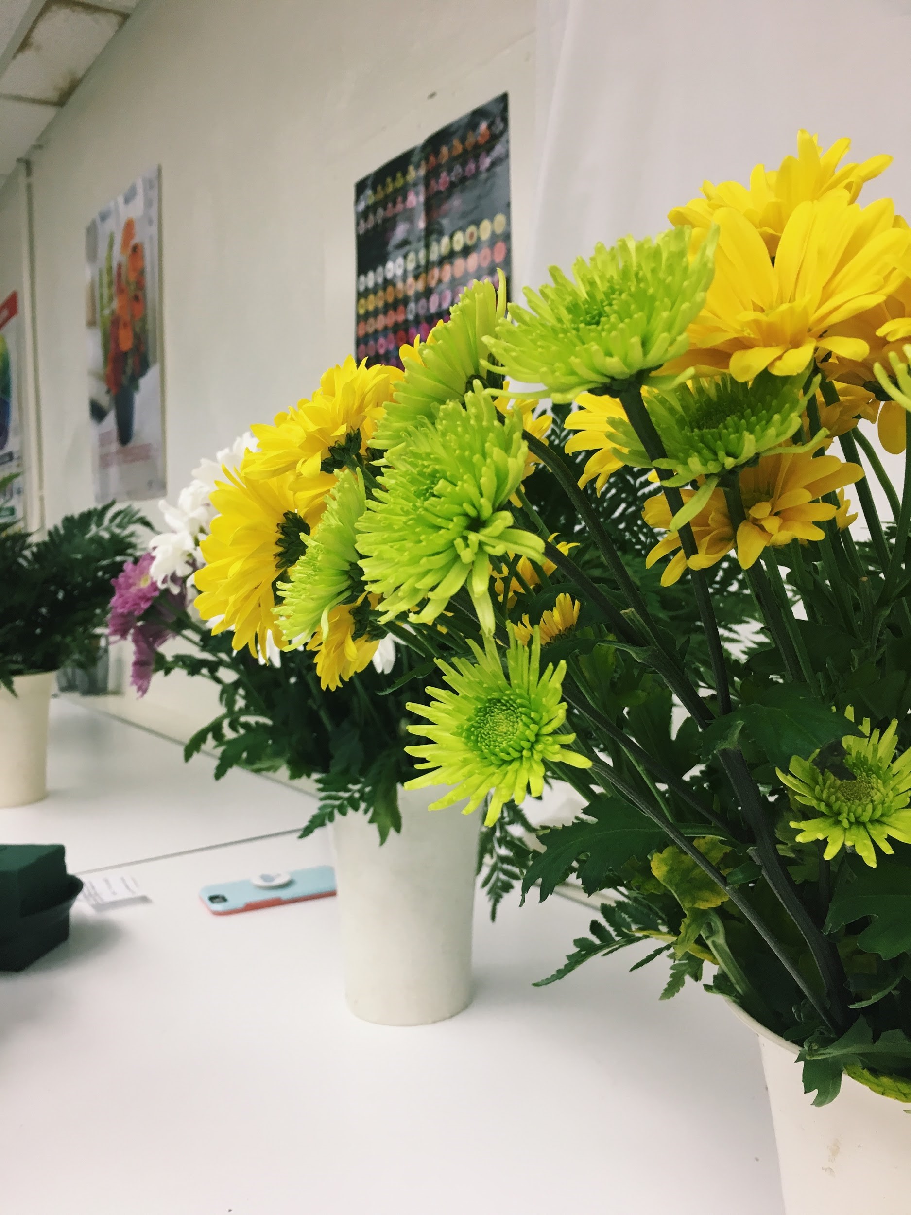 The Final Week | Governor's School for Agriculture
