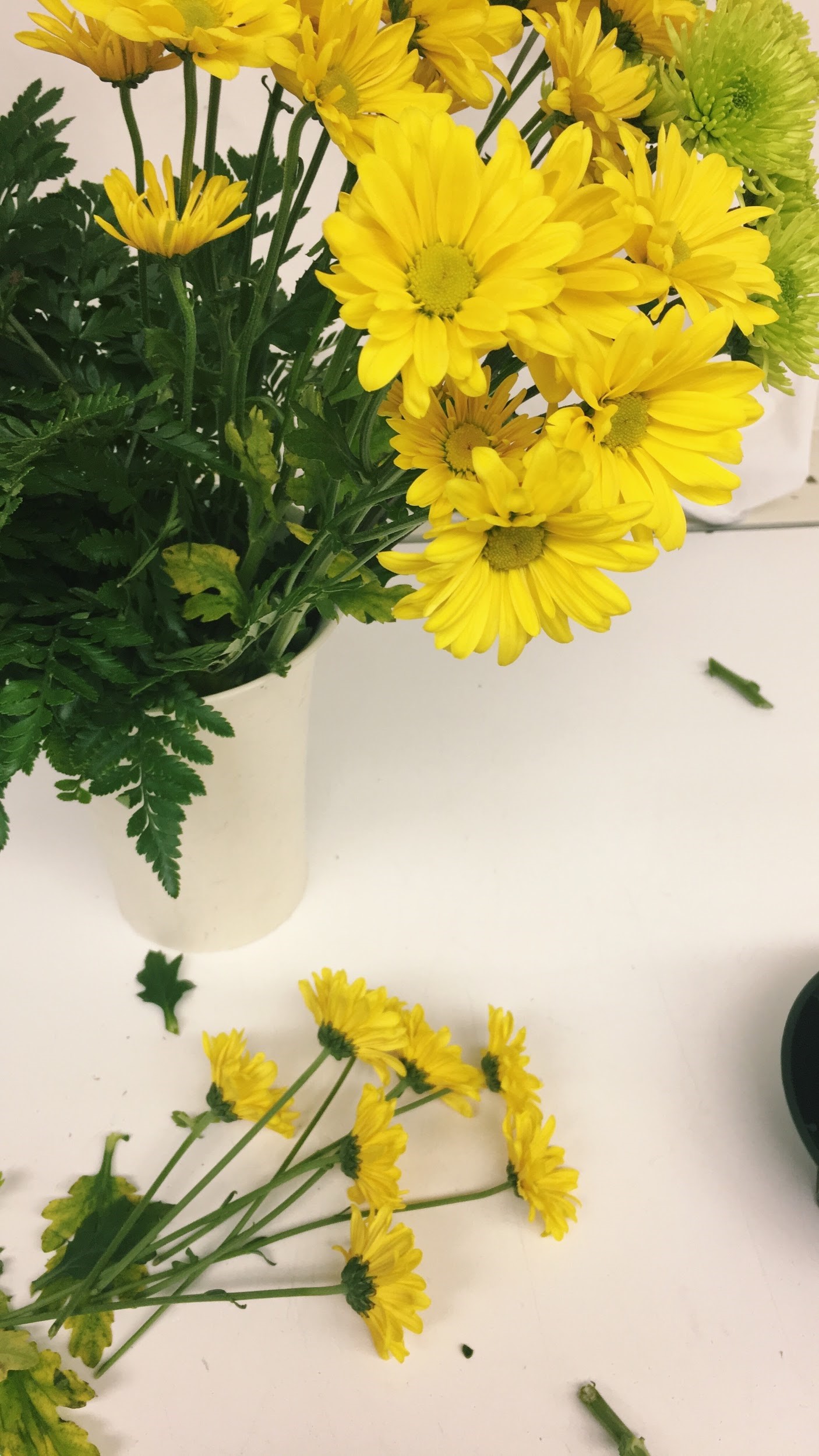 The Final Week | Governor's School for Agriculture