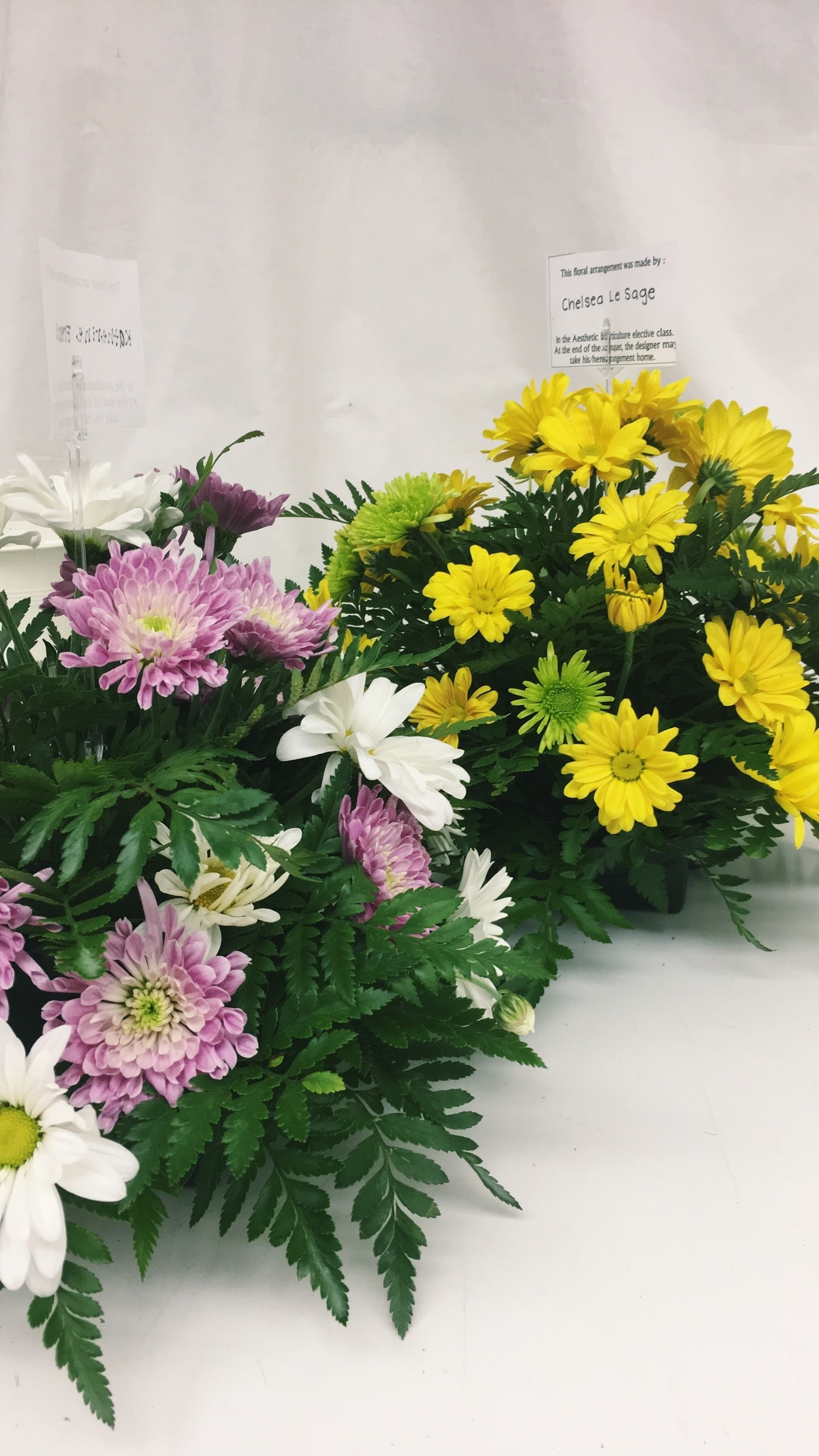 The Final Week | Governor's School for Agriculture
